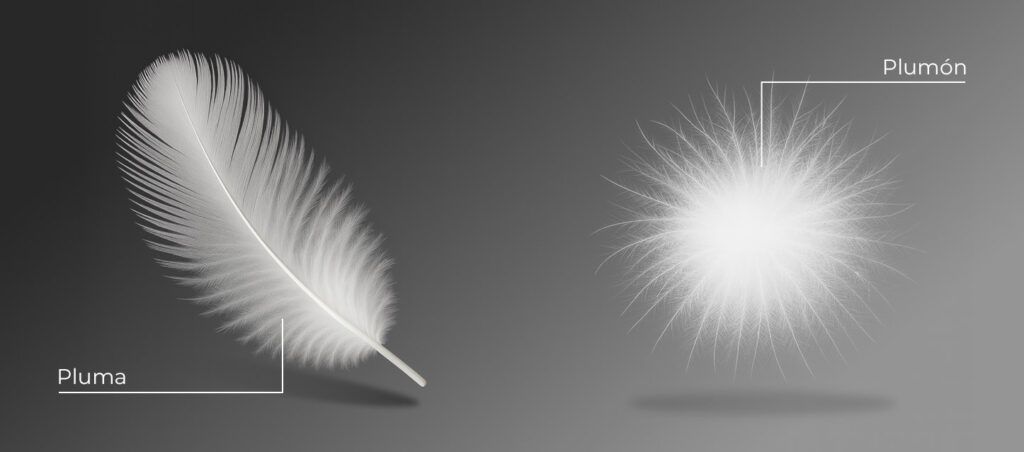 Pluma o Plumón: ¿Qué Relleno Nórdico Elegir?
